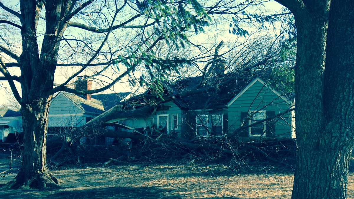 Images: Tree smashes into house on Ward Parkway Plaza