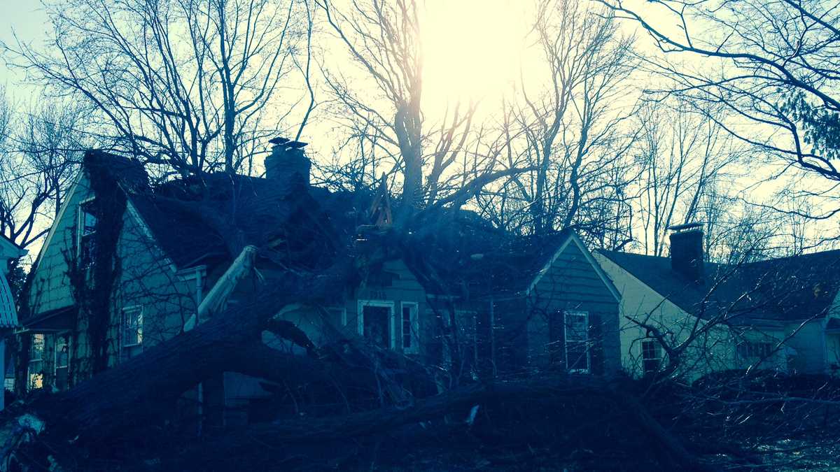 Images: Tree smashes into house on Ward Parkway Plaza