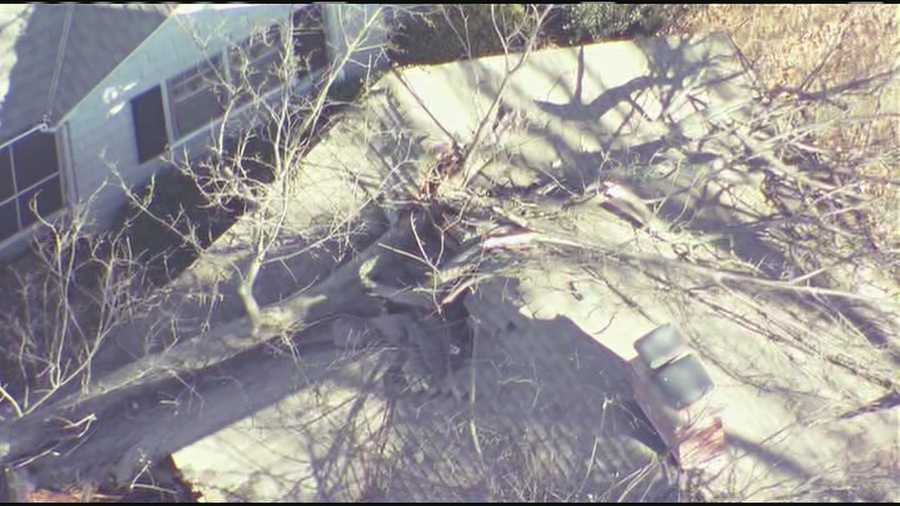 Images: Tree smashes into house on Ward Parkway Plaza