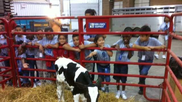 CALF Days program offers lessons in farm life for city kids
