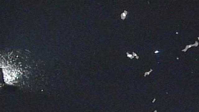 Miller moths swarm New Mexico