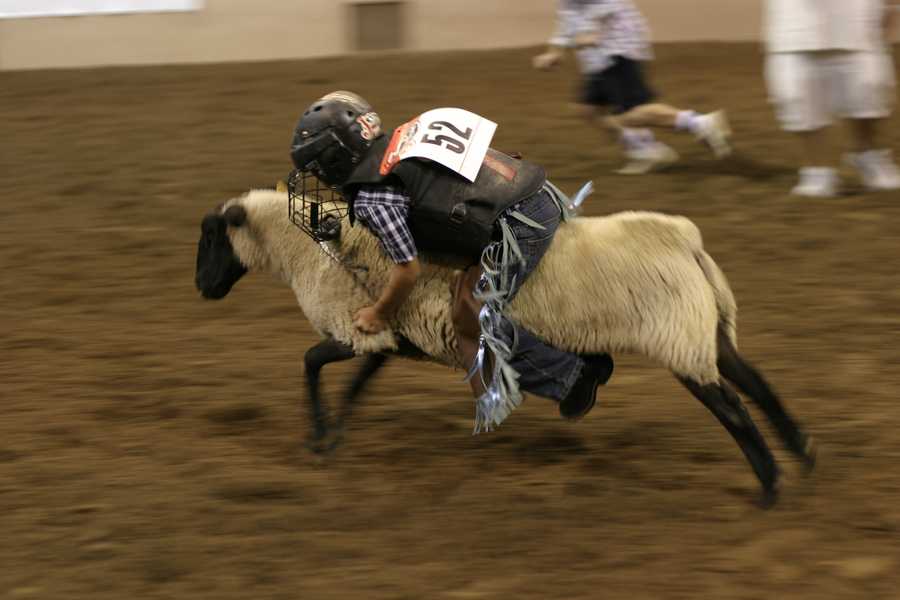 New Mexico State Fair Schedule of Events