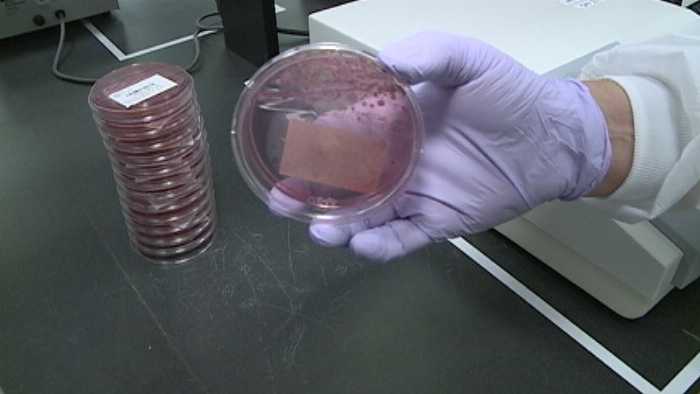 Barbecues provide prime breeding ground for germs