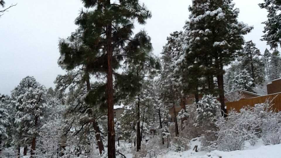 New Mexicans share photos, videos of snow on u local