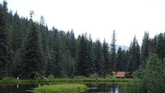 Pecos Canyon recreation areas to reopen