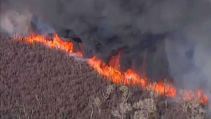 PHOTOS: Large brush fire sparks in Valencia County