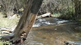 Pecos Canyon recreation areas to reopen