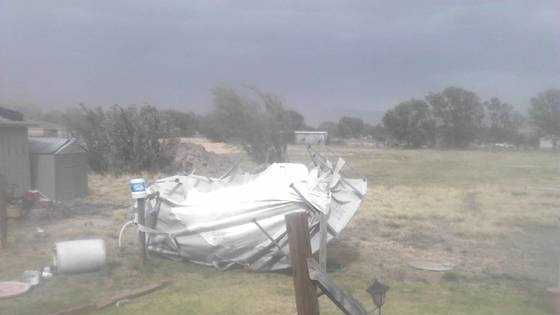 Stuff the wind knocked over this weekend