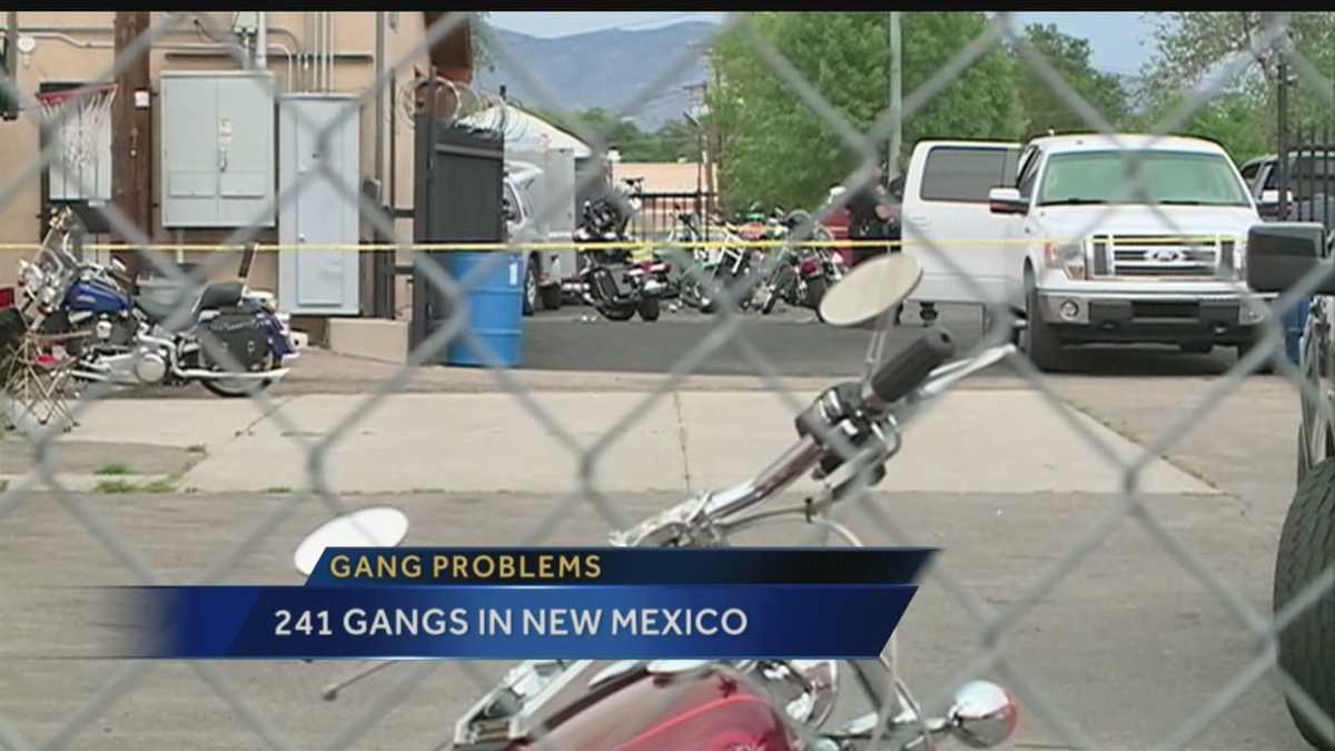 Law enforcement works to stop gang violence