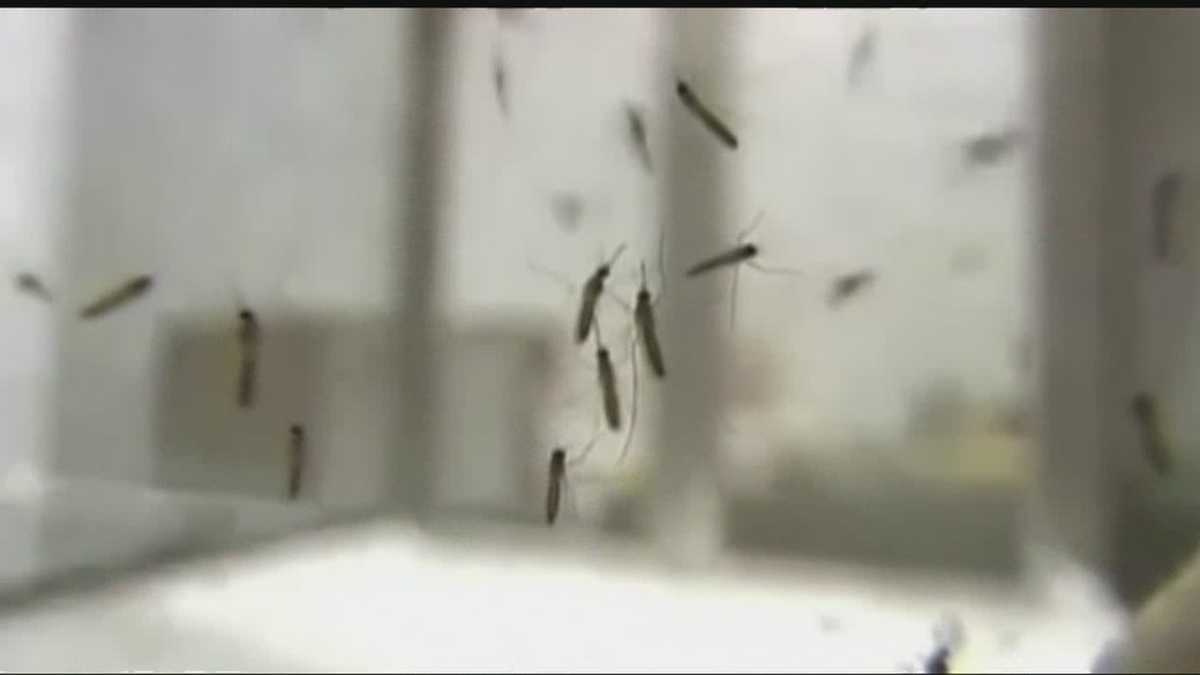 New Mexico has first West Nile death of 2014 New Mexico has first West Nile death of 2014