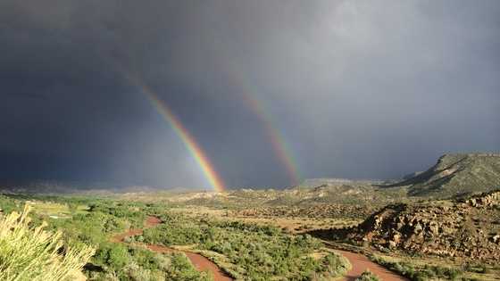 The 99 best monsoon photos July had to offer