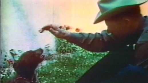 Photos: See photos of the original Smokey Bear