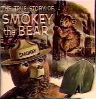 Photos: See photos of the original Smokey Bear