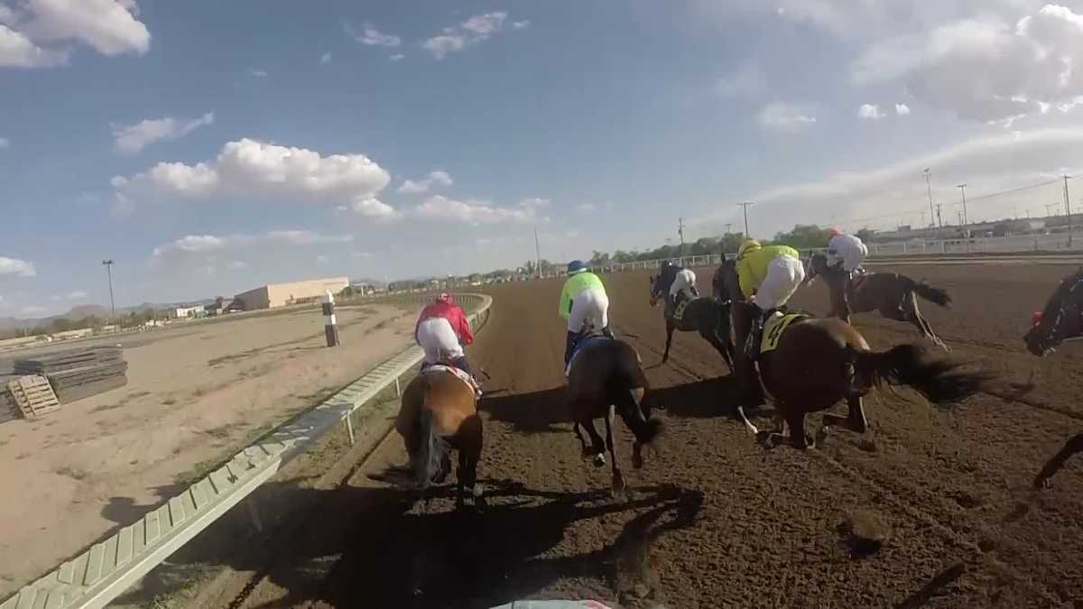 Downs to offer night races