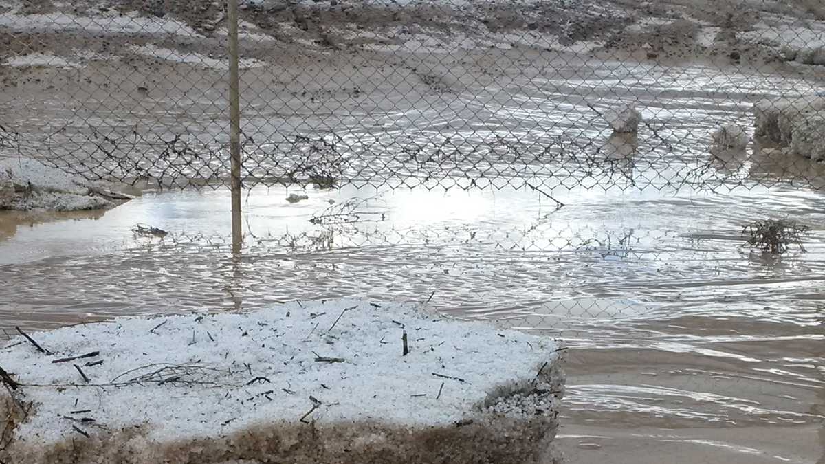 PHOTOS: Animas River very near flood stage
