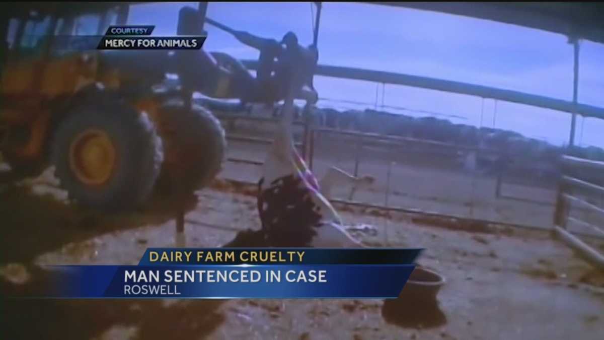 Man in cow beating video pleads no contest
