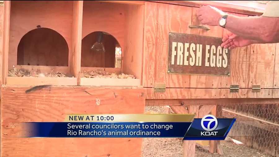 No movement on Rio Rancho chicken, goat ordinance