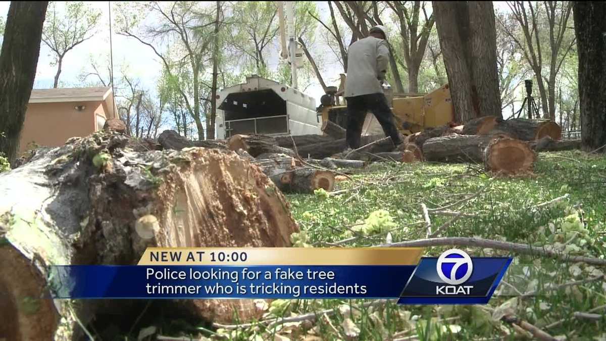 Fake tree trimmer scamming residents