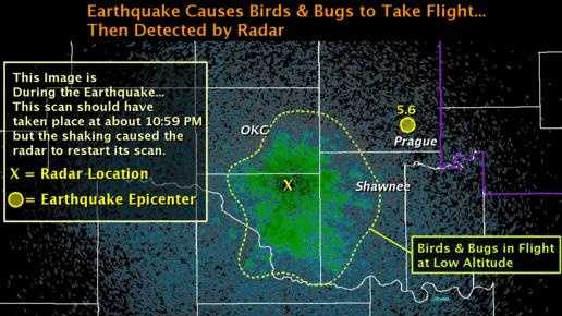 Did you know earthquakes can be seen on radar?