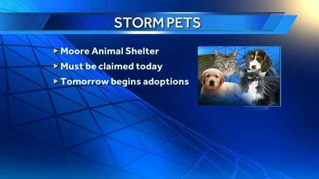 Hundreds of pets still unclaimed at Moore animal shelter