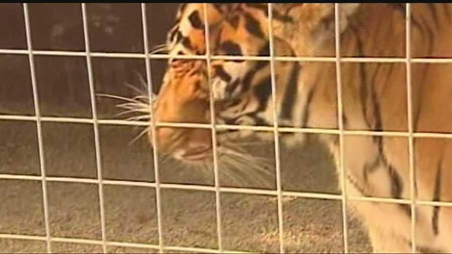 State laws only govern animal owners of species native to Oklahoma