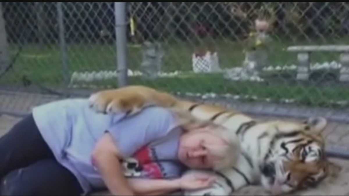 G.W. Zoo releases music video attacking animal ownership laws