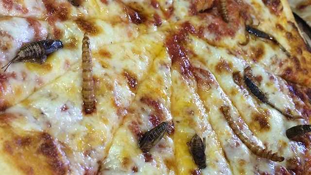 New foods at the Oklahoma State Fair