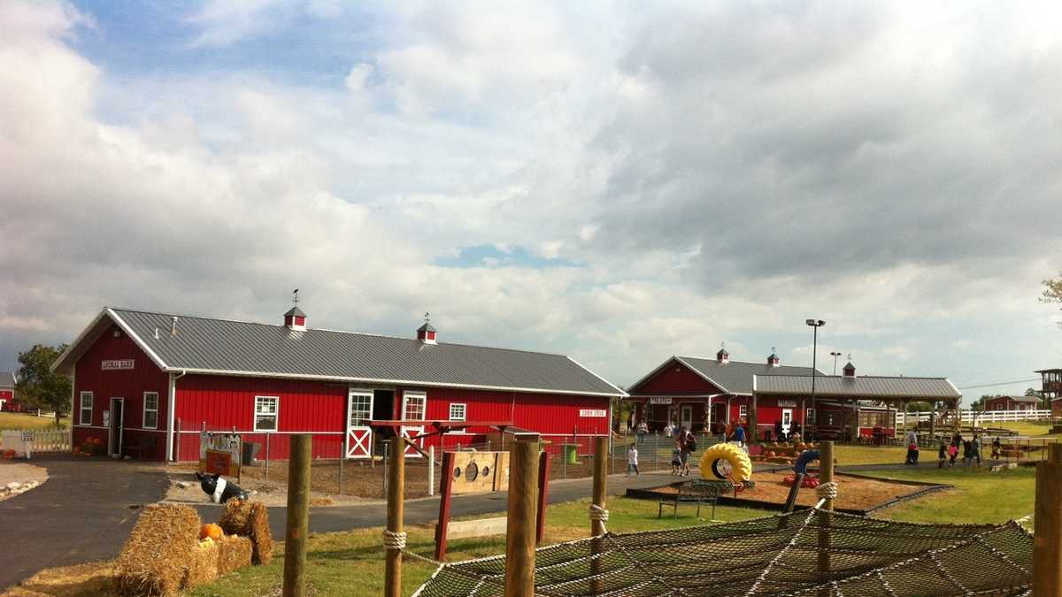 Photos: Orr Family Farm