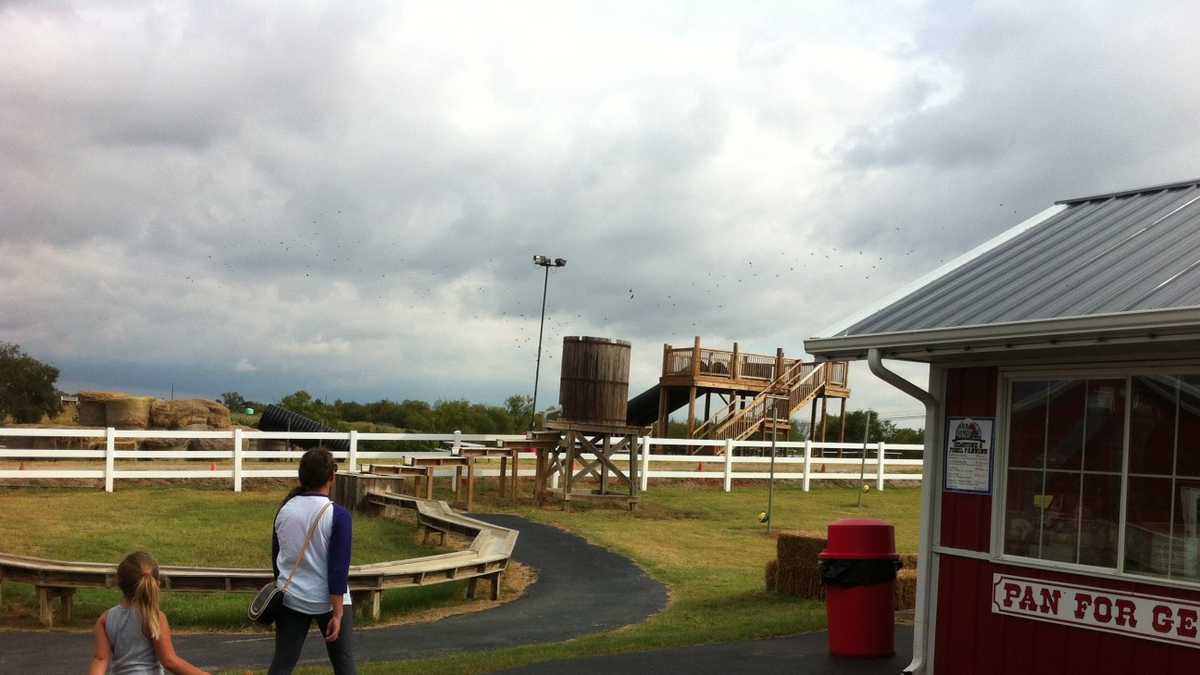 Photos: Orr Family Farm