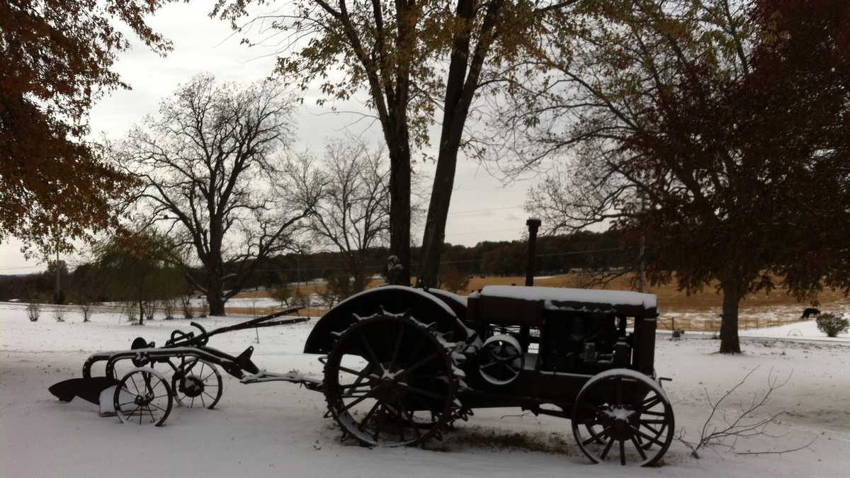 50 Best photos of our first snowstorm of the season