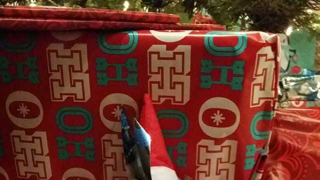 Oklahoma's 'Elf on a Shelf'