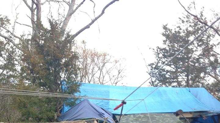 One arrested in tree house after year-long meth investigation