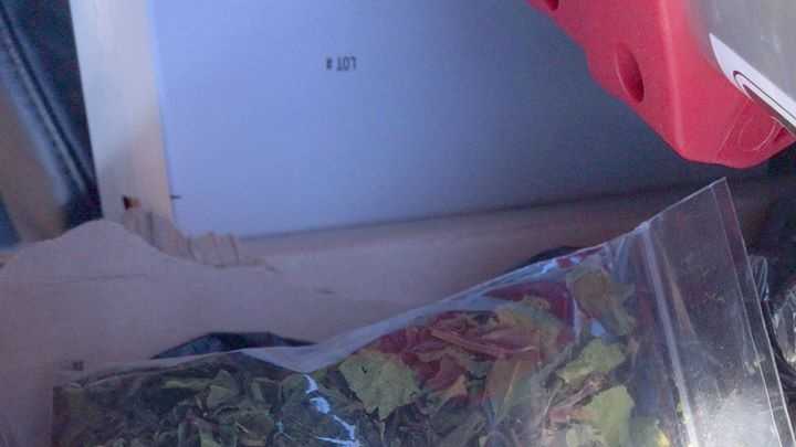 OBN seizes African plant being smuggled through Oklahoma