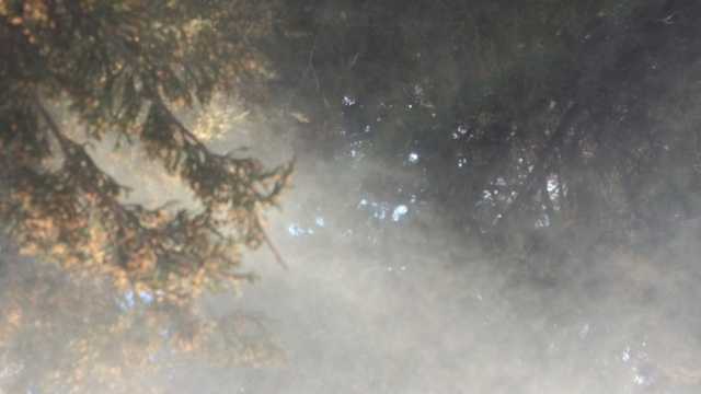Pollen clouds seen across the metro