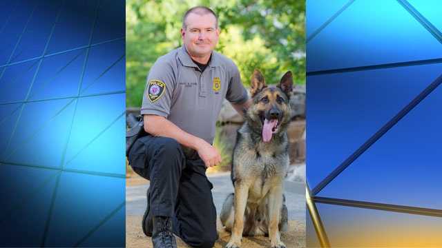 Police dog takes down man accused of armed robbery