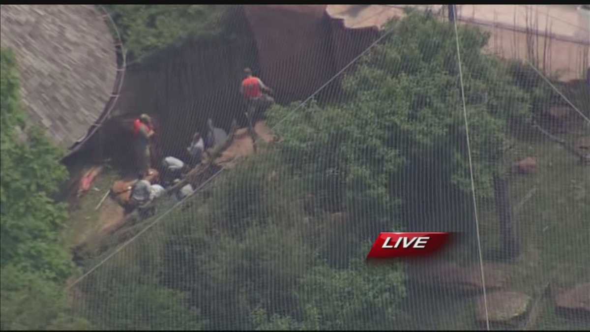 Tiger contained at Oklahoma City Zoo