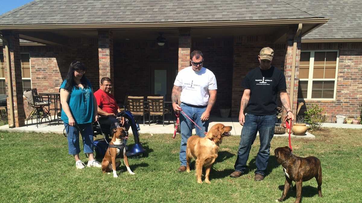 Veteran breeding companion dogs to help fellow vets