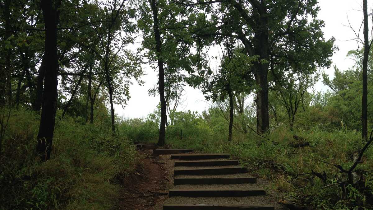 Martin Park Nature Center hosting art, nature celebration