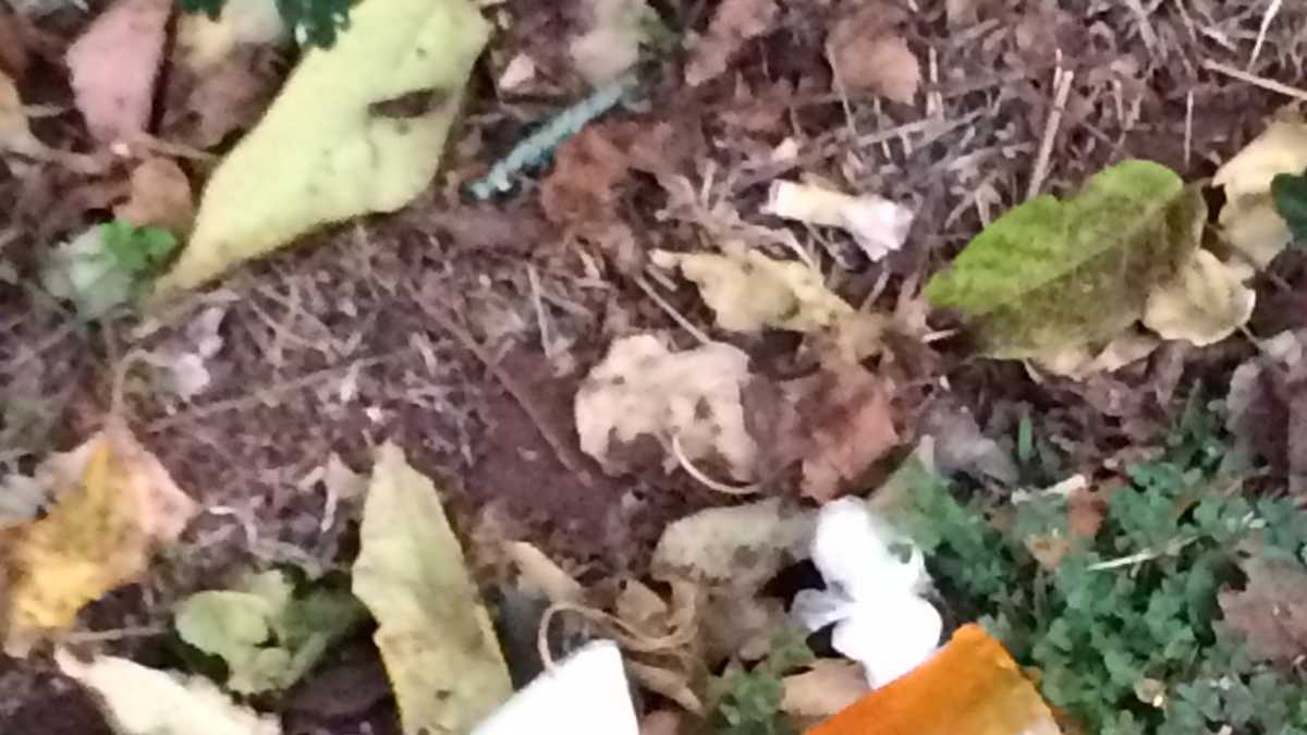 Arrests bring end to yearlong Oklahoma meth investigation