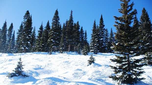 Where to go if you're looking for snow