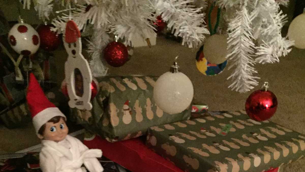 Gallery: Elves on Oklahoma shelves