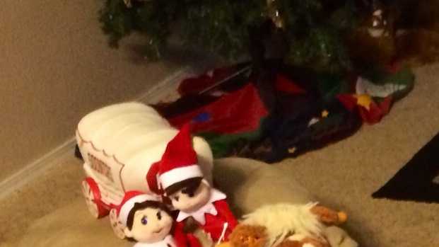 Gallery: Elves on Oklahoma shelves