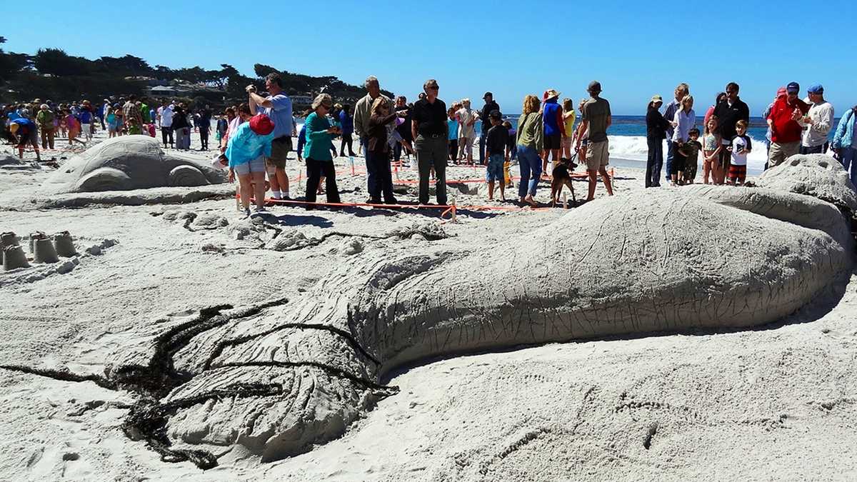 PHOTOS: The Great Sandcastle Contest at Carmel Beach