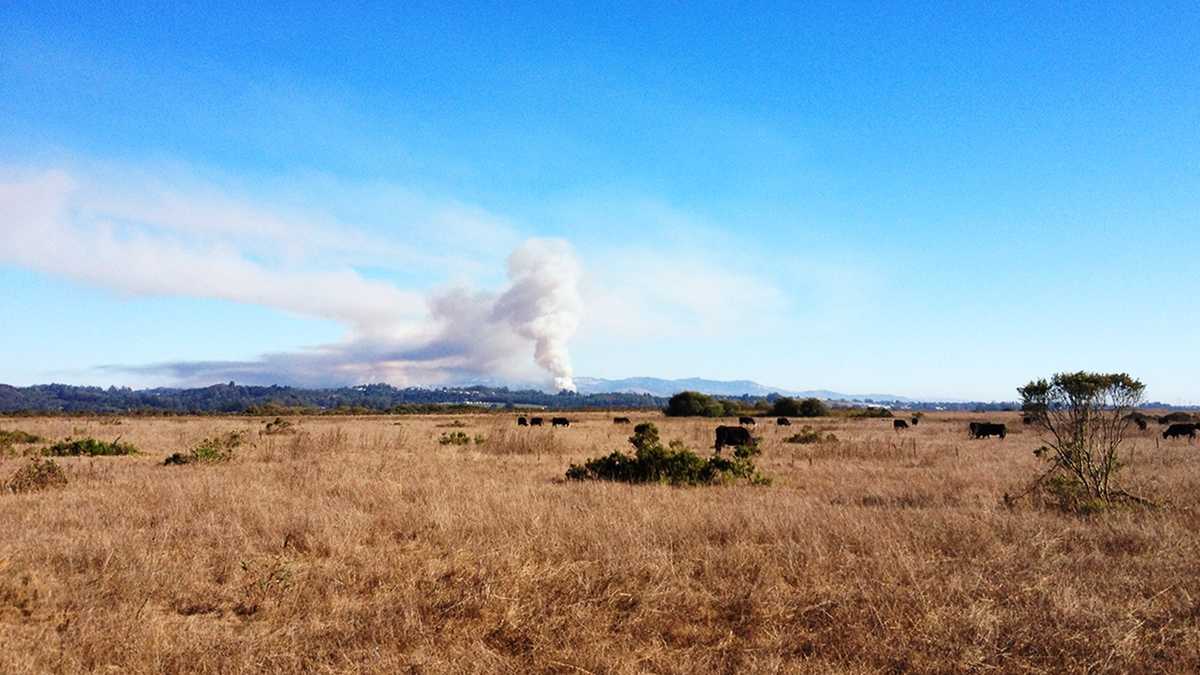 Prunedale voting site evacuated after fire spreads 10 acres
