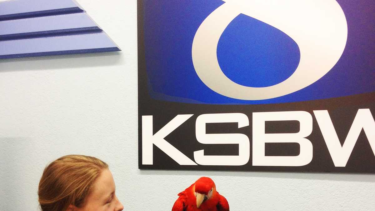 PHOTOS: KSBW Pet Of The Week