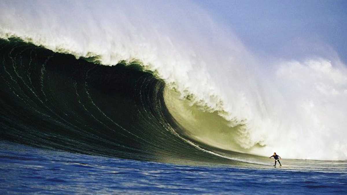 PHOTOS: Darryl Flea Virostko