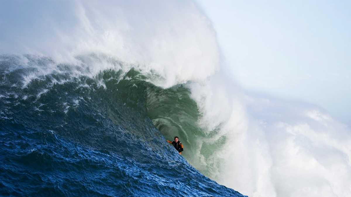 PHOTOS: Darryl Flea Virostko