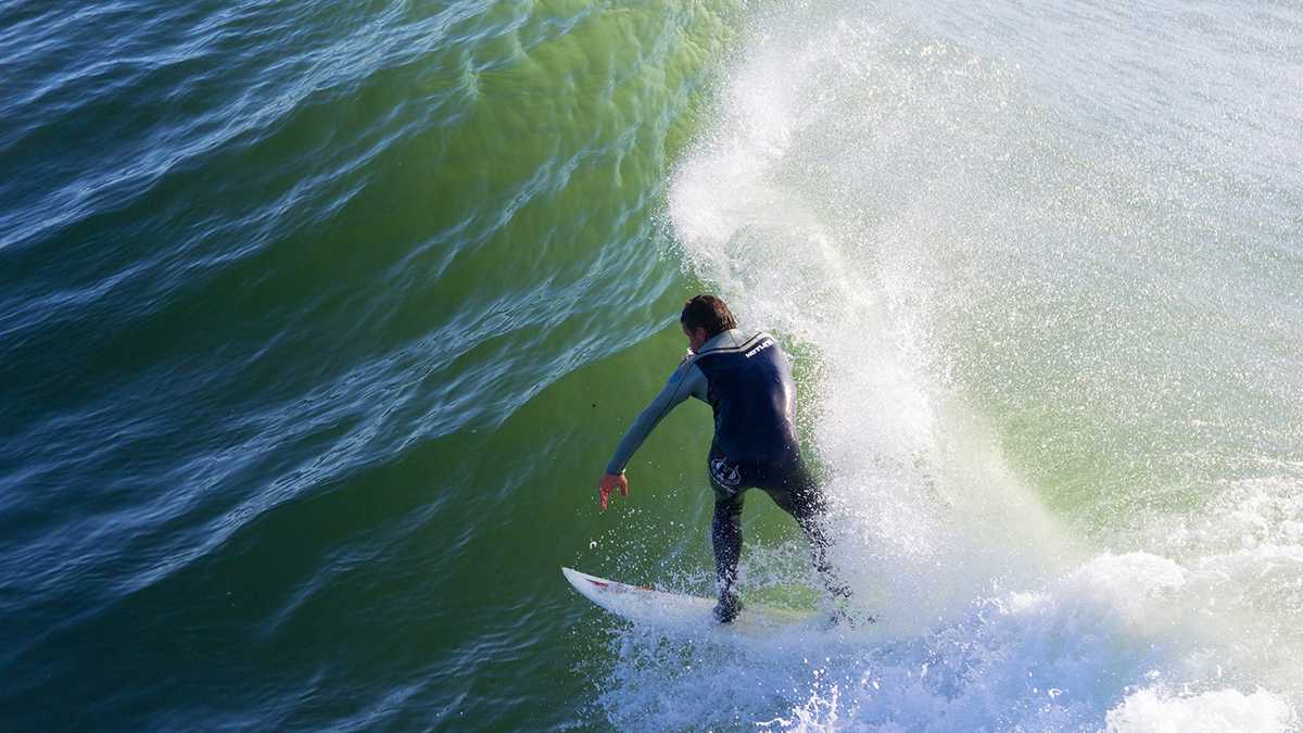 PHOTOS: Darryl Flea Virostko