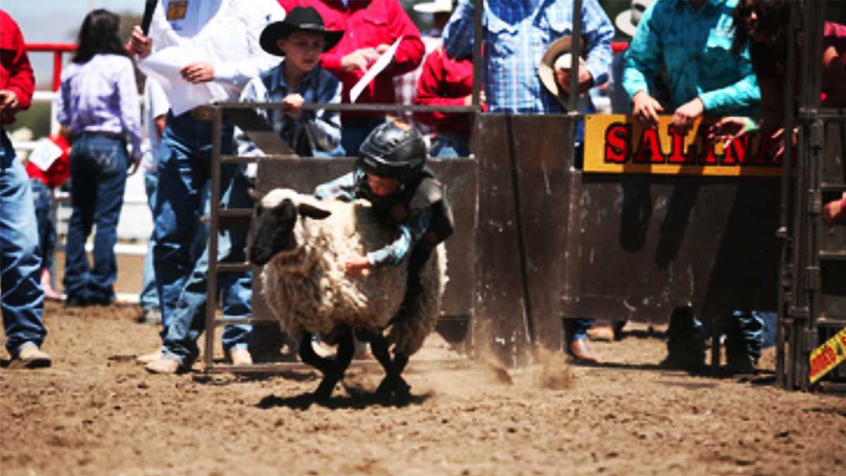 PHOTOS: California Rodeo Salinas 2013