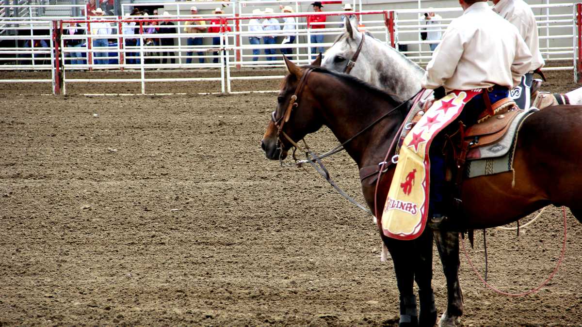 PHOTOS: California Rodeo Salinas 2013